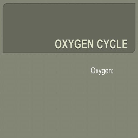 Oxygen cycle pres 1 | PPT