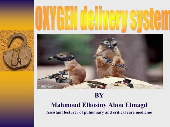 Oxygen delivery system | PPT