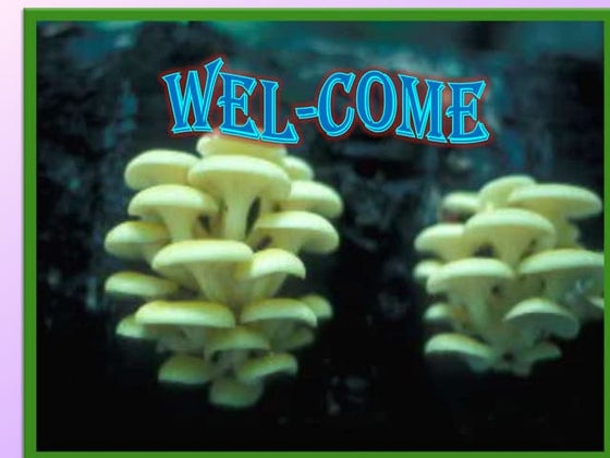 Paddy straw mushroom | PPTX | Woodworking | Arts and Crafts