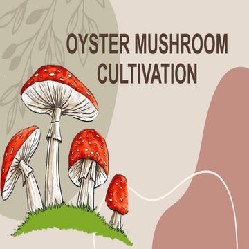 Oyster Mushroom Cultivation Pptx