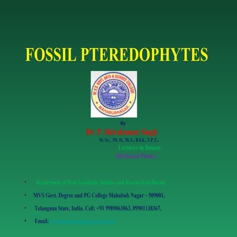 Fossil Pteredophytes by P. shivakumar singh ppt | PPT