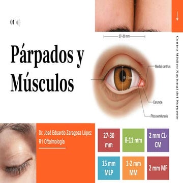 Párpado y Músculos de la Órbita | PPTX