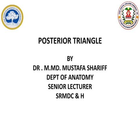 Posterior triangle of the neck | PPTX