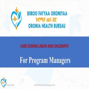 WHO labour guide.pdf