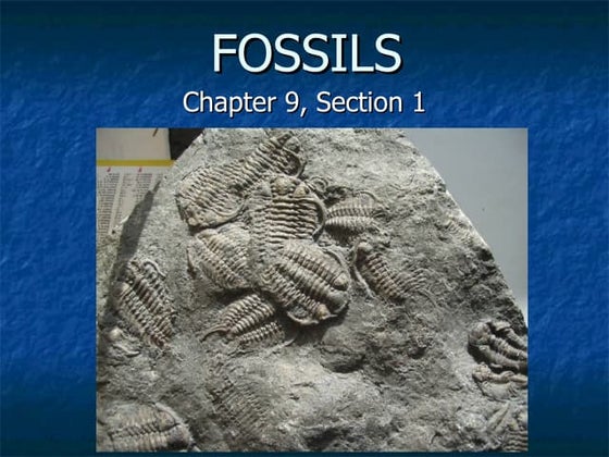 Types of fossils and uses | PPTX | Geology | Science