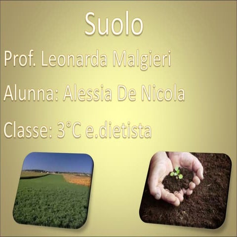 Il suolo | PPT
