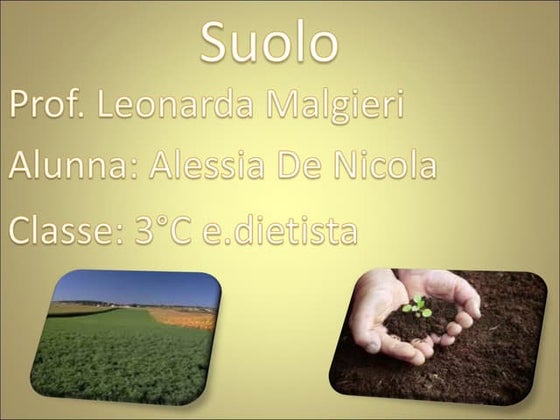 Suolo | PPT