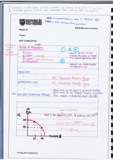 Microeconomics Notes (Part 2) | PDF