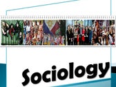 Structural functionalism - DISCIPLINE AND IDEAS IN THE SOCIAL SCIENCE | PPT