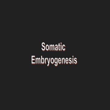 Embryogenesis l Somatic Embryogenesis l Plant Tissue Culture l # ...