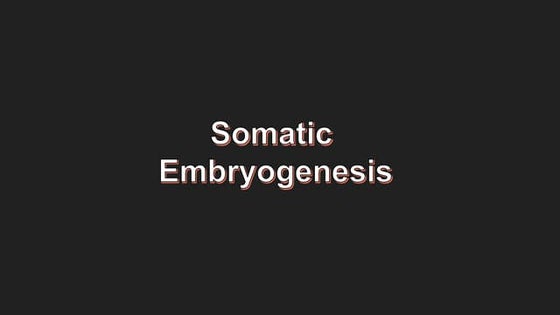 Somatic embryogenesis, in plant tissue culture 2 | PPT