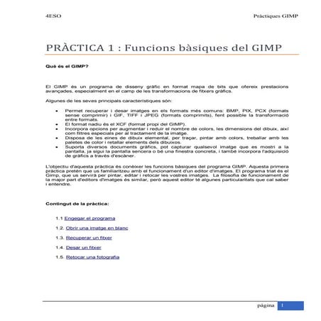 P1 funcions bàsiques del gimp | PDF
