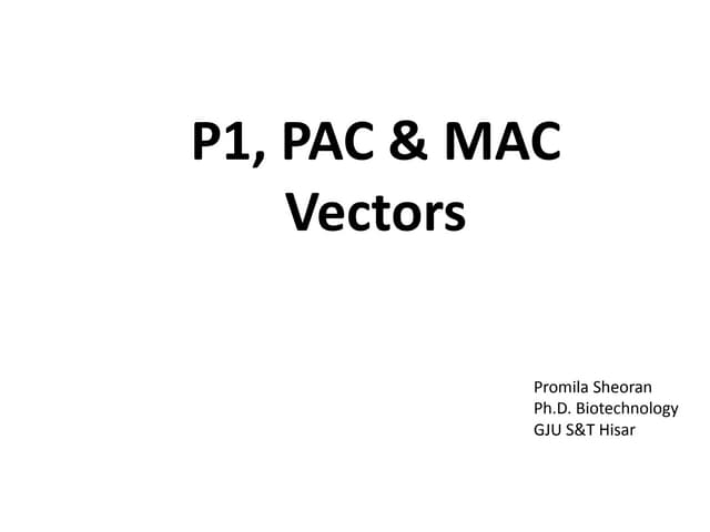 membrane protein, synthesis by | PPT