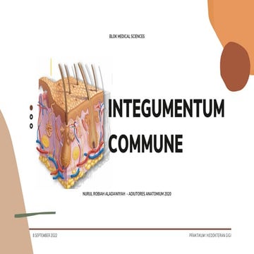 P1S3 Integumentum Communeeeeeeeeeeeeeeee .pdf