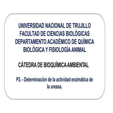 P2. ACTIVIDAD ENZIMATICA DE UREASA.pdf