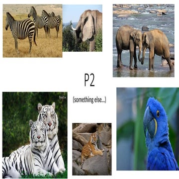 Random photos of other things...................... | PPT