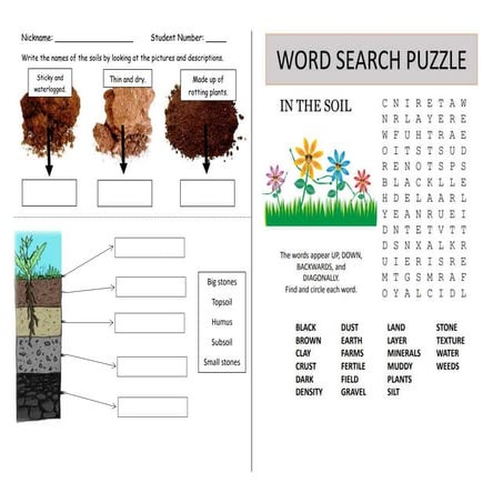 P2 (11-23-2023)_Layers of Soil.docx