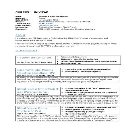 Purchase-to-Pay Global Process Owner (P2P GPO) | PDF