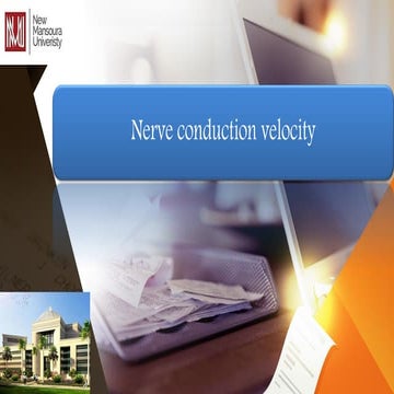 P2 Phys NCV by powerlab or biopac (1).pdf