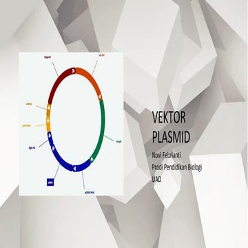 VEKTOR PLASMID, CHARACTERISTICS PLASMID, AND FUNGSI | PDF