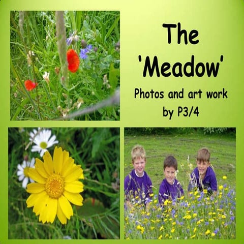 P3 4 meadow art | PPT