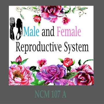 Human Reproductive system: Anatomy and physiology | PPTX