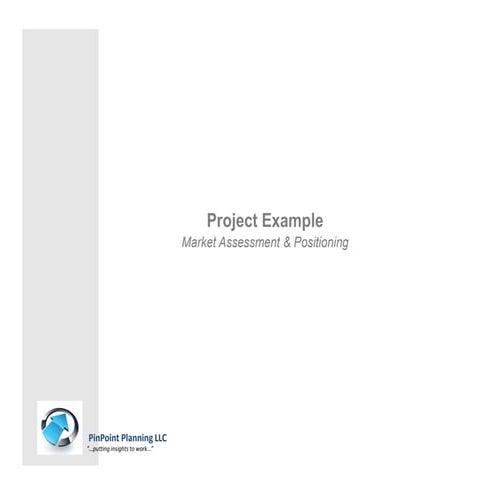 P3 Project Sample | PDF