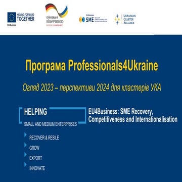 Professionals4Ukraine program for UCA clusters | PDF