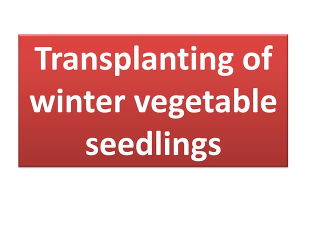 System of planting and types | PPTX