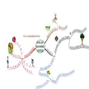 P5 plant transport system | PDF