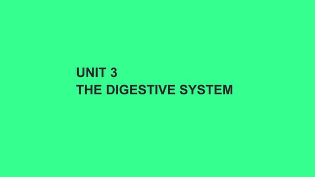 Digestive system of a cow | PPTX
