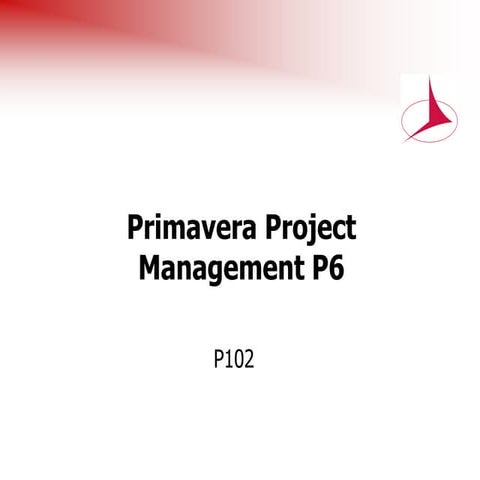 Primavera P6 Notes For Beginners Pdf