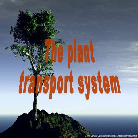 P6 std sc plant transport system | PPT