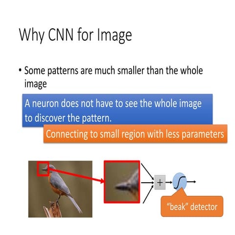Introduction to Convolutional Neural Networks (CNN) | PDF
