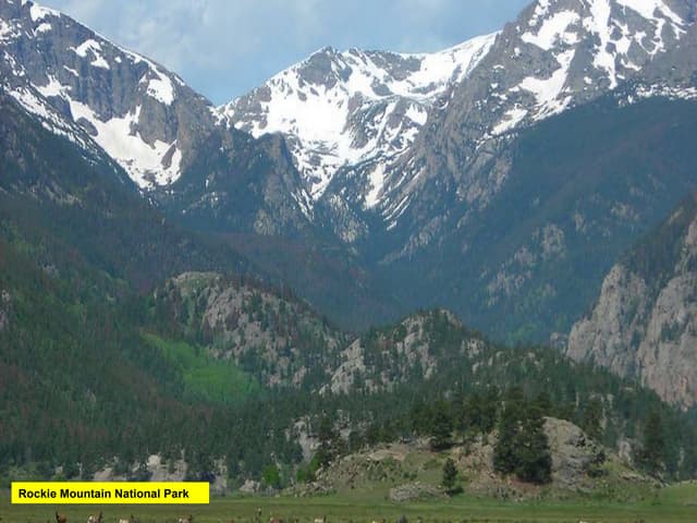 Lumbar triangle(Petit’s triangle) and it’s anatomical characteristics | PPTX