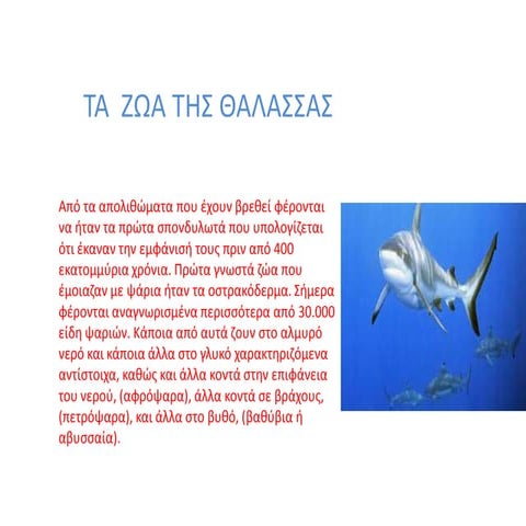 Τα θαλάσσια ζώα | PDF