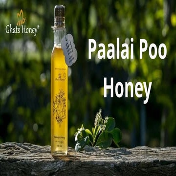 Paalai poo honey-Introduction to an interesting Mono floral honey ...