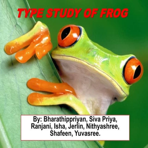 Frog Class 11th NCERT CBSE NEET biology notes | PDF