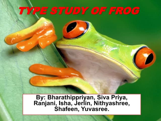 Frog Class 11th NCERT CBSE NEET biology notes | PDF