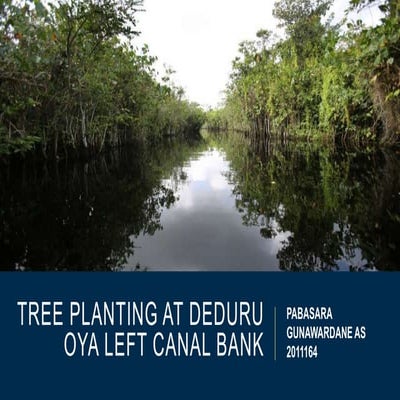 Community Based Biodiversity Conservation- Tree Planting on Deduru Oya ...