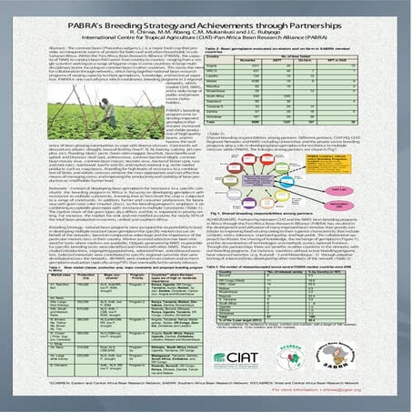 PABRA's Breeding Strategy | PDF