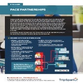 PACE-Senior-Transportation-Software-TripSpark (1).pdf