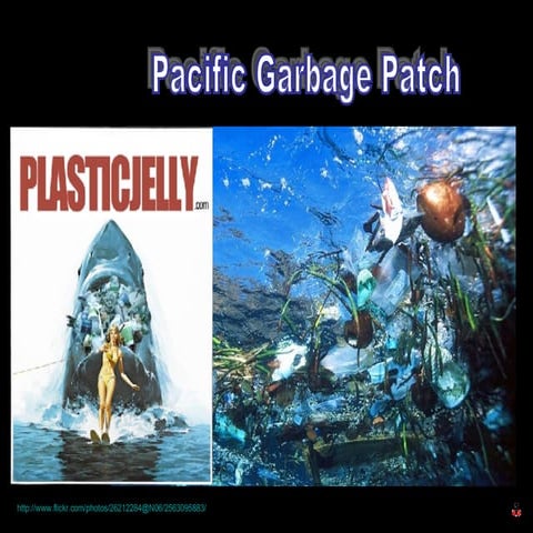 Pacific Garbage Patch | PPT