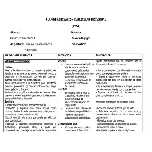 FORMATO PACI CON EJEMPLO.docx