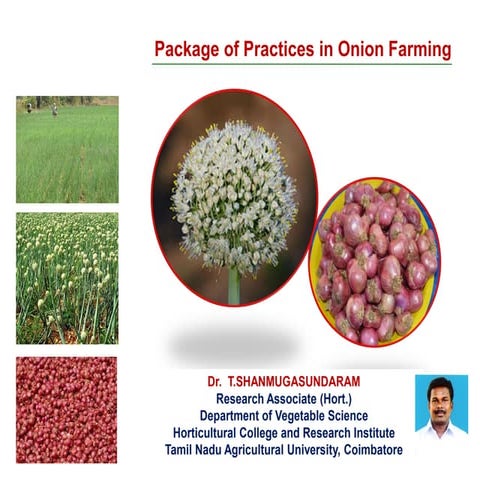 Package of Practices in Onion Farming.pdf