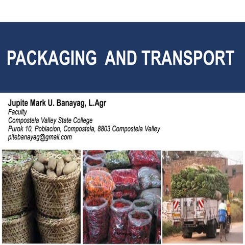 Packaging and transport | PDF