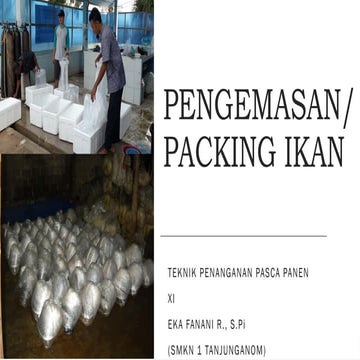 PACKING IKAN pada mata pelajaran agribisnis | PPTX