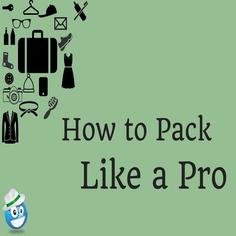 How to Pack Like a Pro | PDF