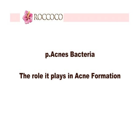 P acnes and its role in acne formation | PDF