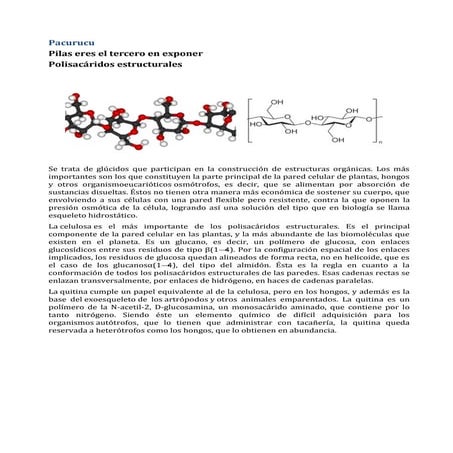 Quitina: Características, funciones y aplicaciones. | PPTX